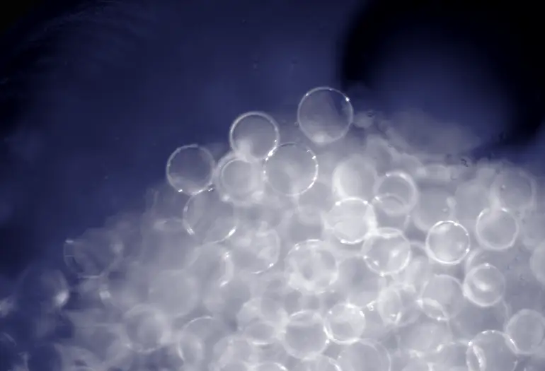 SKILLCELL | Innovating biotechnology start-up